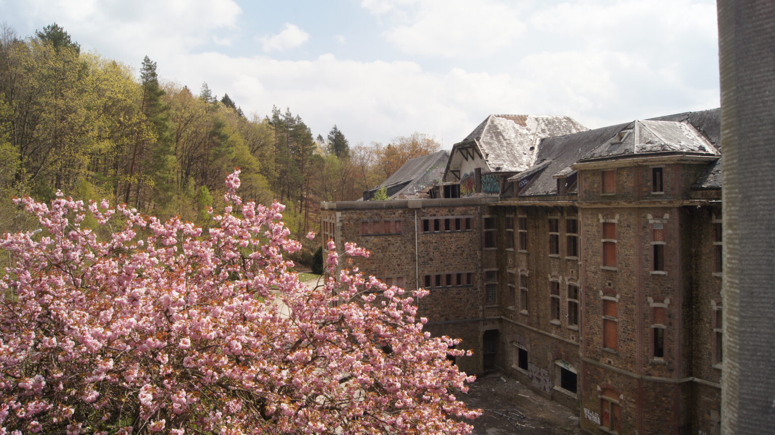 Sanatorium du Basil – Torries